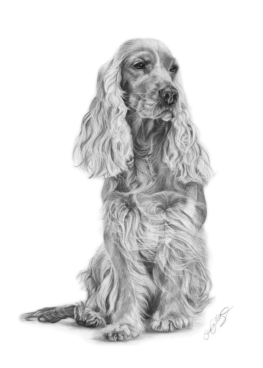 Cocker Spaniel – Art For Animals