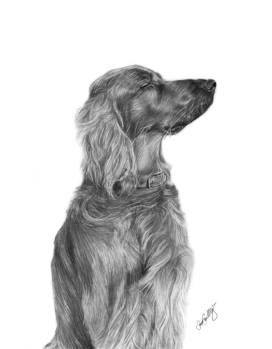 Irländsk Röd Setter / Irish Red Setter – Art For Animals